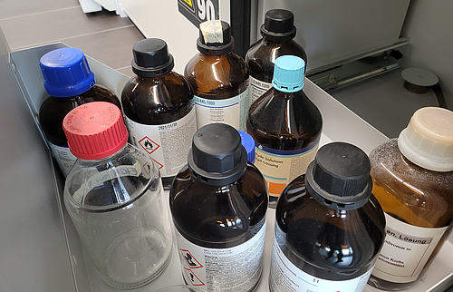 Weniger und «grünere» Chemikalien zum Schutz der Biodiversität